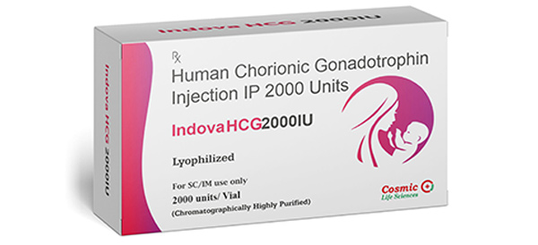 News & Event – Cosmic Life Sciences-Antibiotics